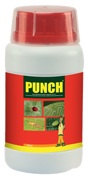 Jubaili Agrotec | Kenya | PUNCH