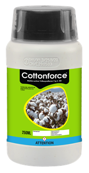 Jubaili Agrotec | Kenya | COTTON FORCE