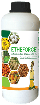 Jubaili Agrotec | Uganda | ETHYFORCE