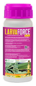 Jubaili Agrotec | Kenya | LARVAFORCE