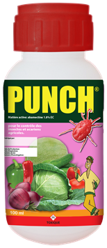 Jubaili Agrotec | Kenya | PUNCH