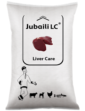 Jubaili Agrotec | Ghana | JUBAILI LC LIVER CARE